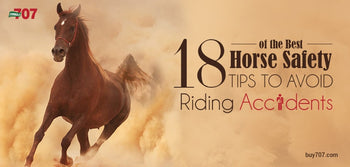 17 of the Best Horse Safety Tips to Avoid Riding Accidents – Formula 707®