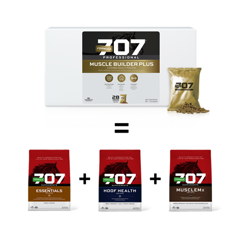 Muscle Builder Plus – Formula 707®
