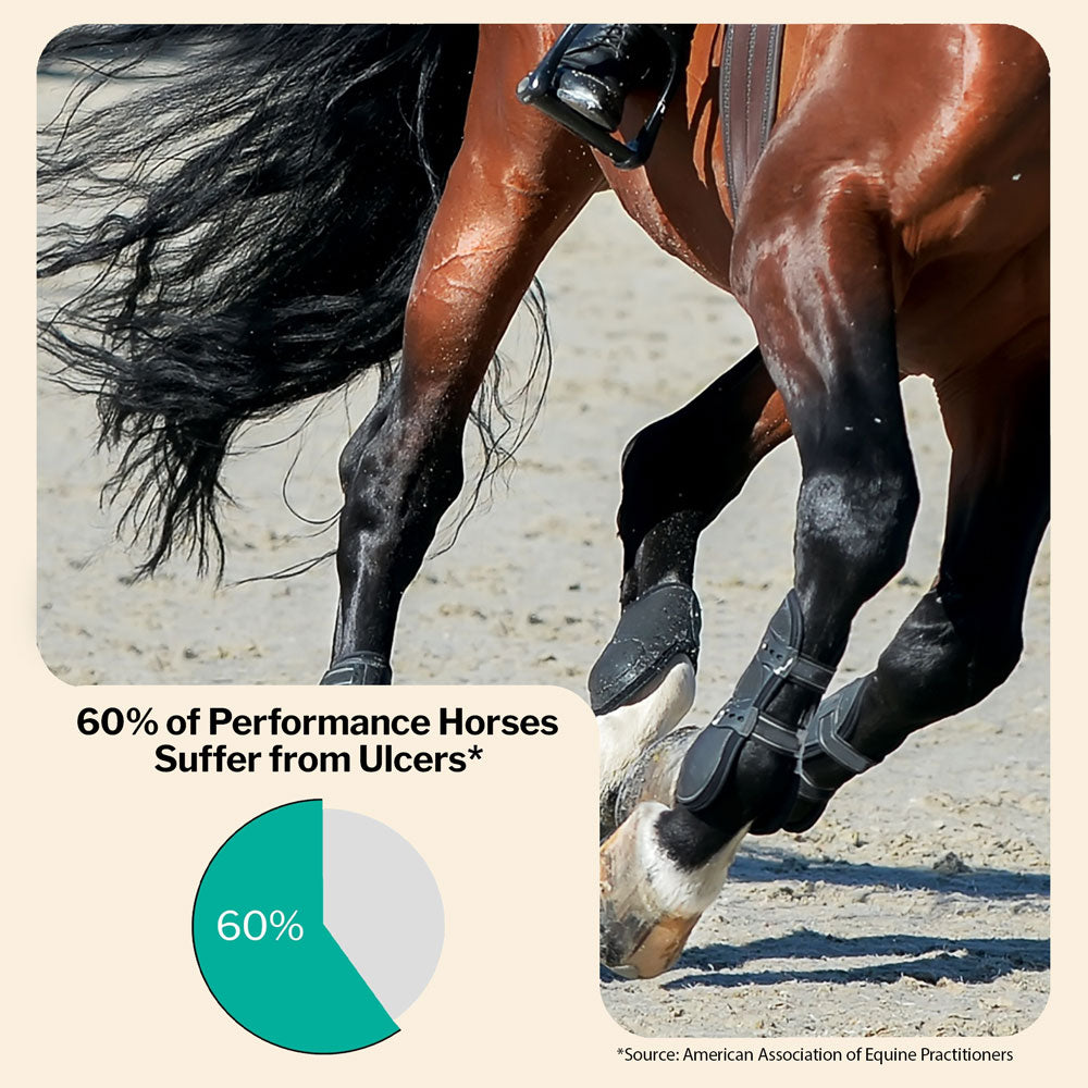 Save Up to 37% on Support Pro – Formula 707®