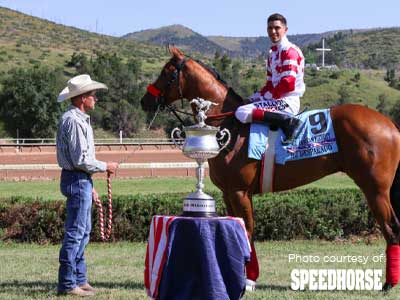 Support Pro – Formula 707®