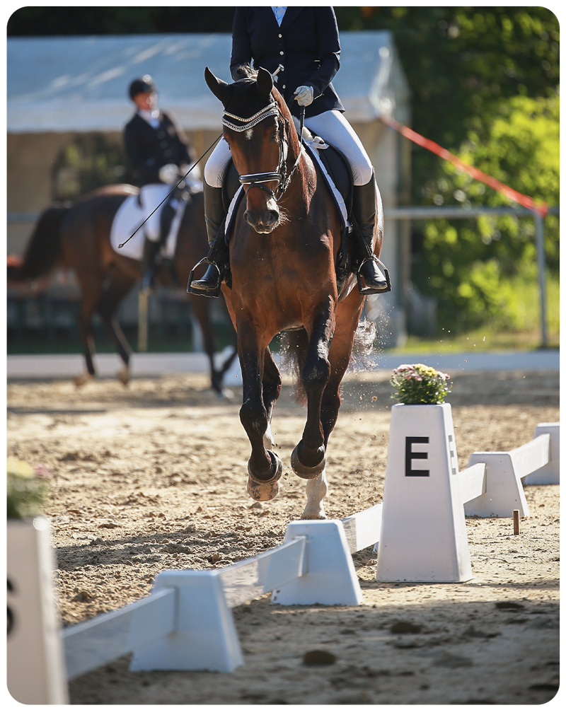 Calming Pellets – Formula 707®