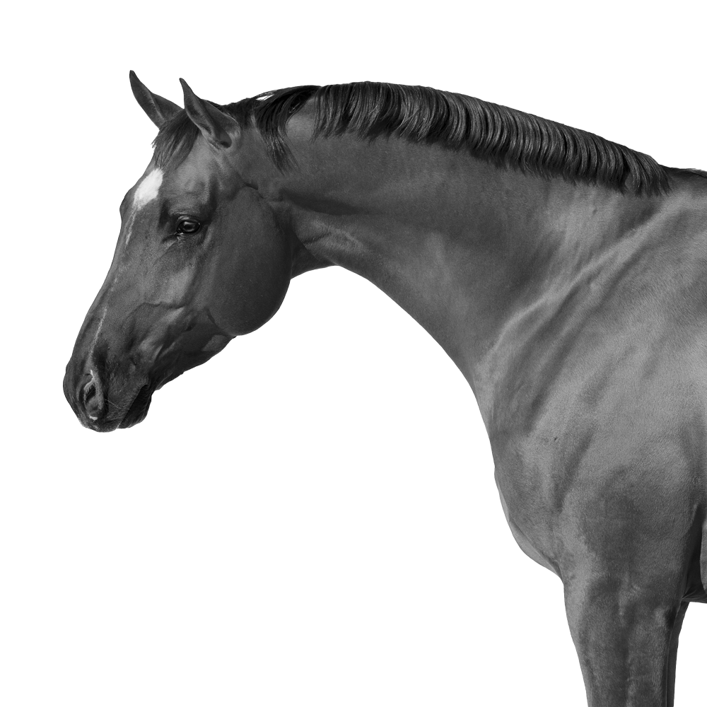 Calming Pellets – Formula 707®